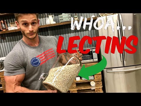 Gut Health | Are Lectins Bad | Lectins Equal Unhealthy Carbs? | Nutrient Absorption- Thomas DeLauer