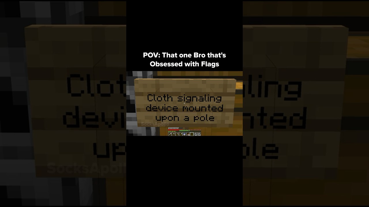 Minecraft Flag Moment