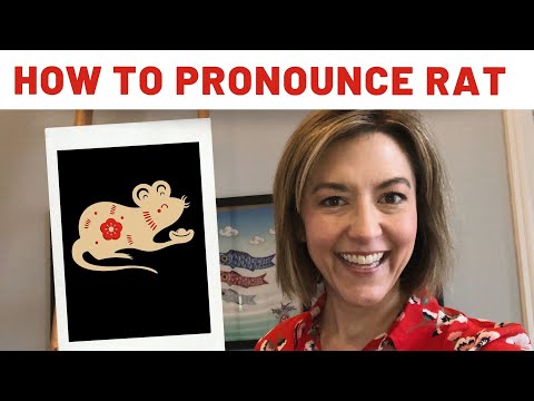 How to Pronounce RAT 🐀 - English Pronunciation - Lunar New Year 🧧 Lesson