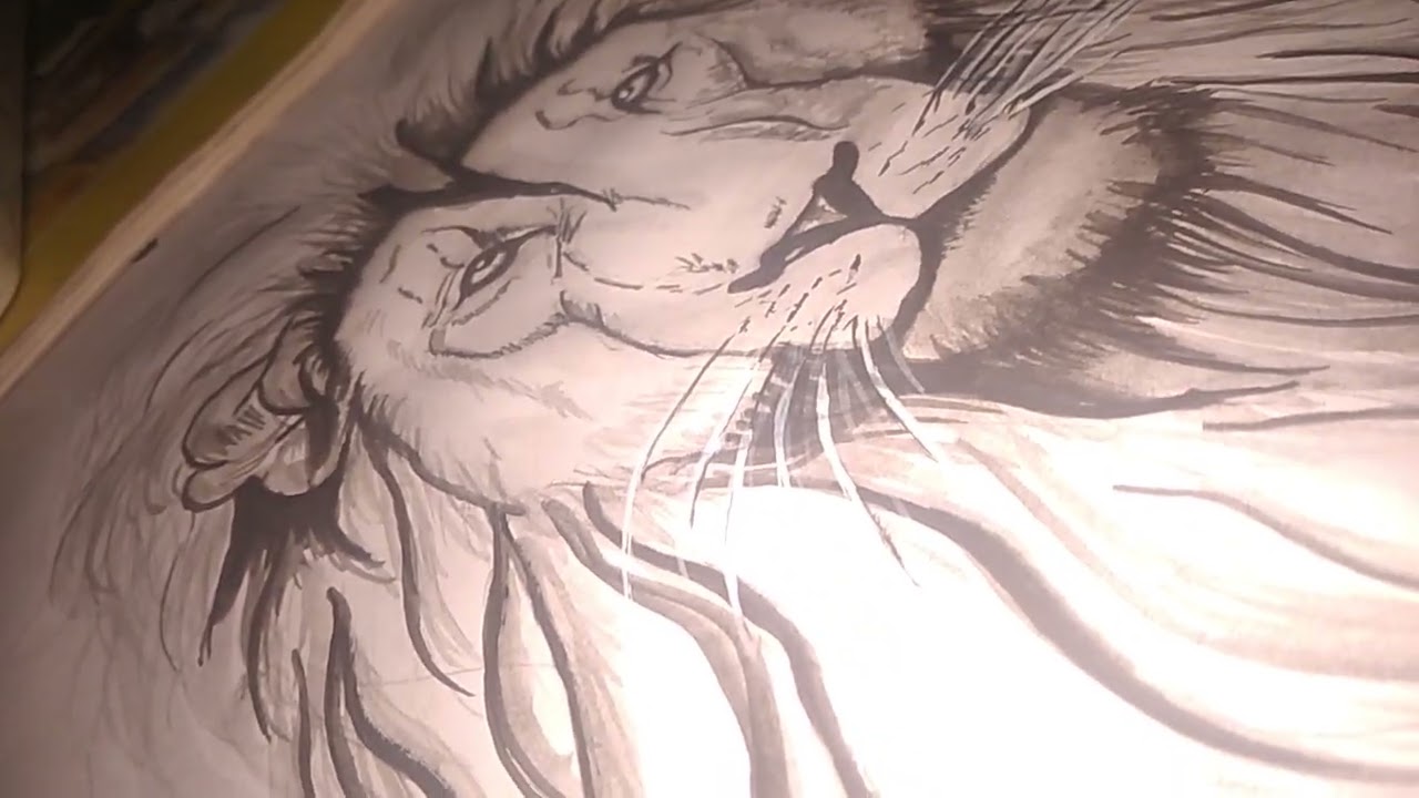 premium vector | hand drawn lion outline....  #art #drawing#lion  ⛰️⛰️🌳🌳🌴🦁🦁