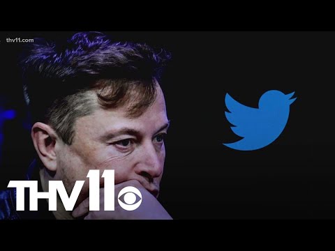 Elon Musk polls Twitter users on whether he should step down
