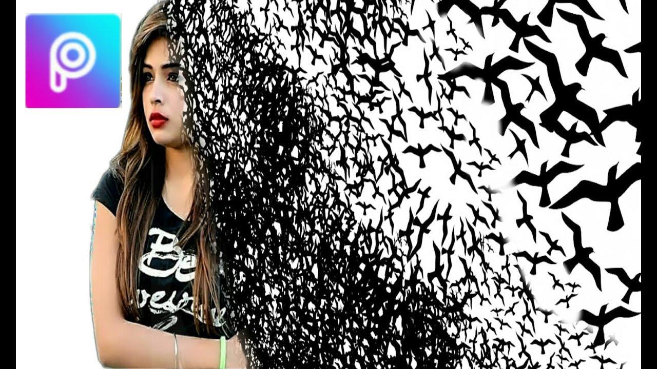 PicsArt Tutorial | Birds Dispersion Effect | PicsArt Editing Photos..