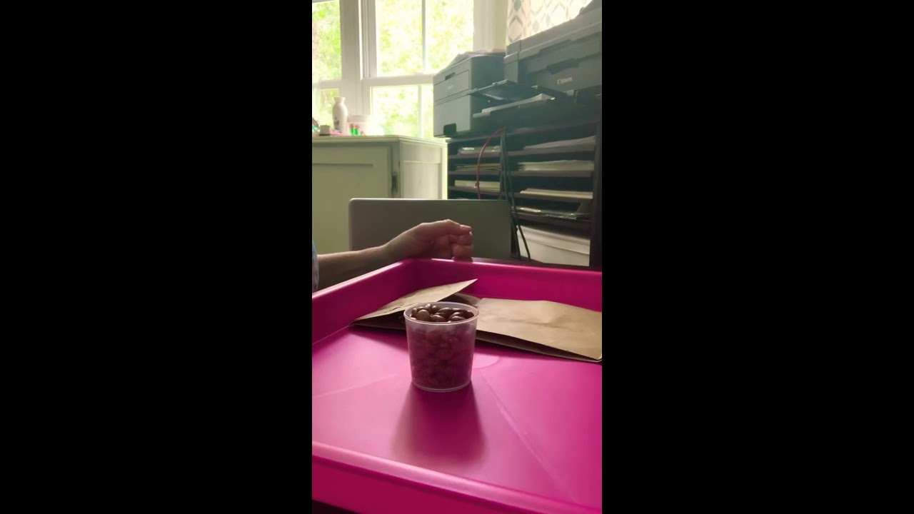 Ecology: Population Simulation Lab