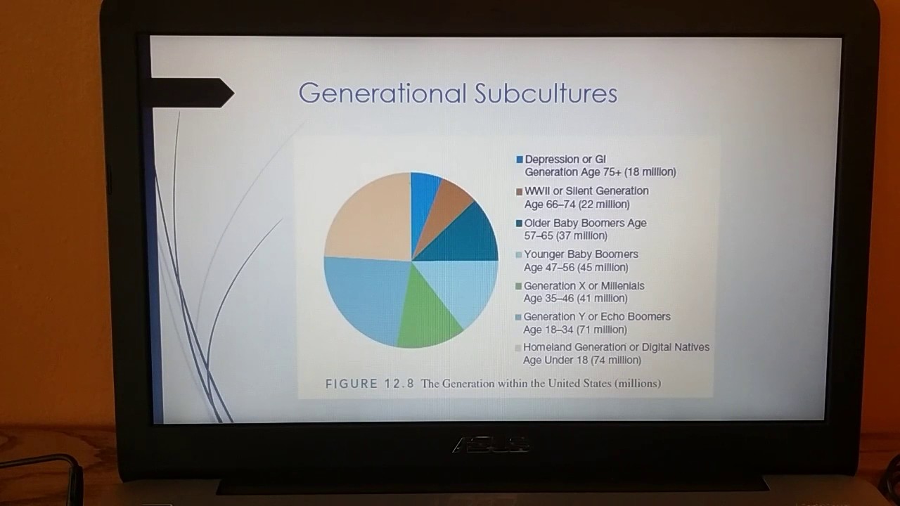 BU 251 Marketing II  Chapter Twelve - Subcultures and Consumer Behavior