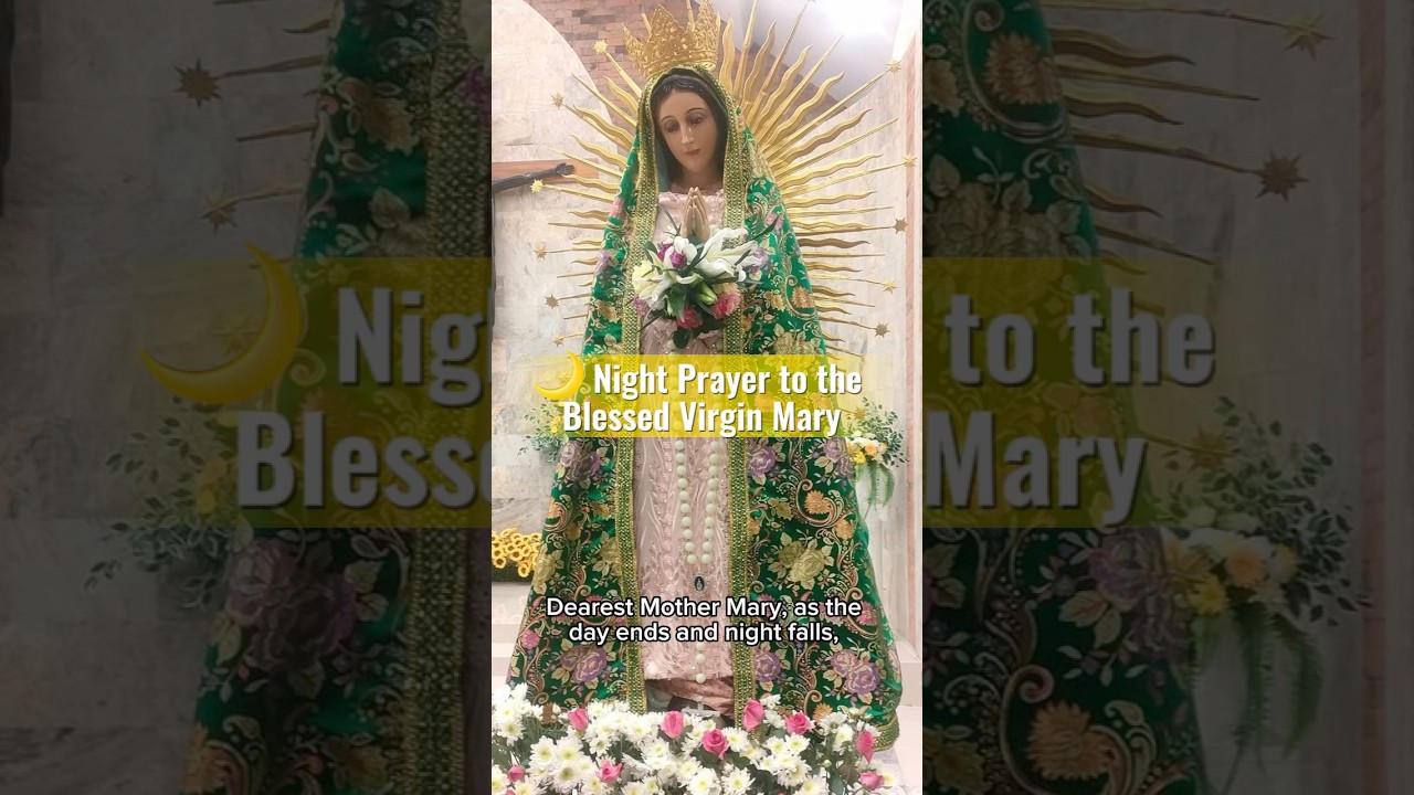 Night Prayer to the Blessed Virgin Mary 🌹|Seek Her Protection Before You Sleep