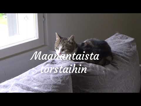 Alkuviikon kuulumiset