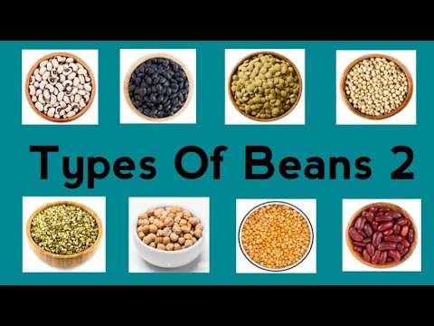 Different Varieties Of Beans Part 2|With Picture And Names In English|All Types Of Beans