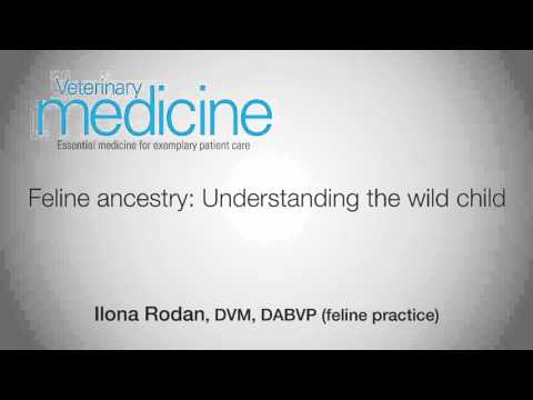 Feline ancestry: Understanding the wild child