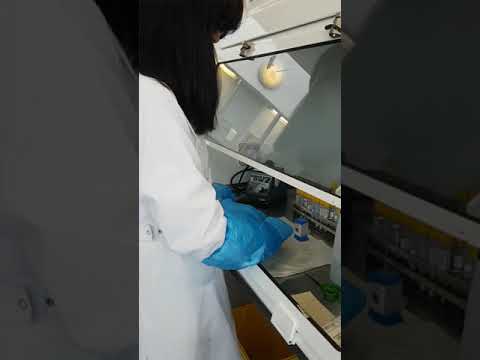 COVID-19 Testing | Biomedical Science at the Western Trust