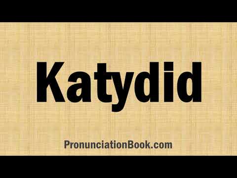 How to Pronounce Katydid