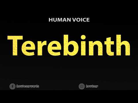 How To Pronounce Terebinth