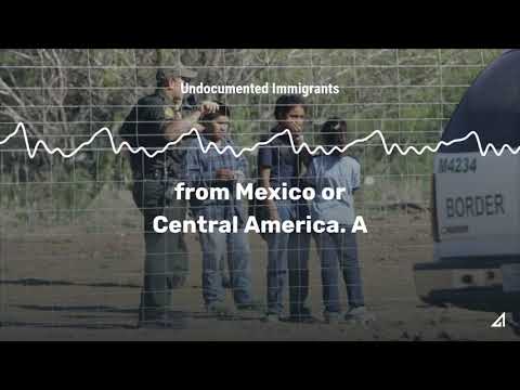Undocumented Immigrants