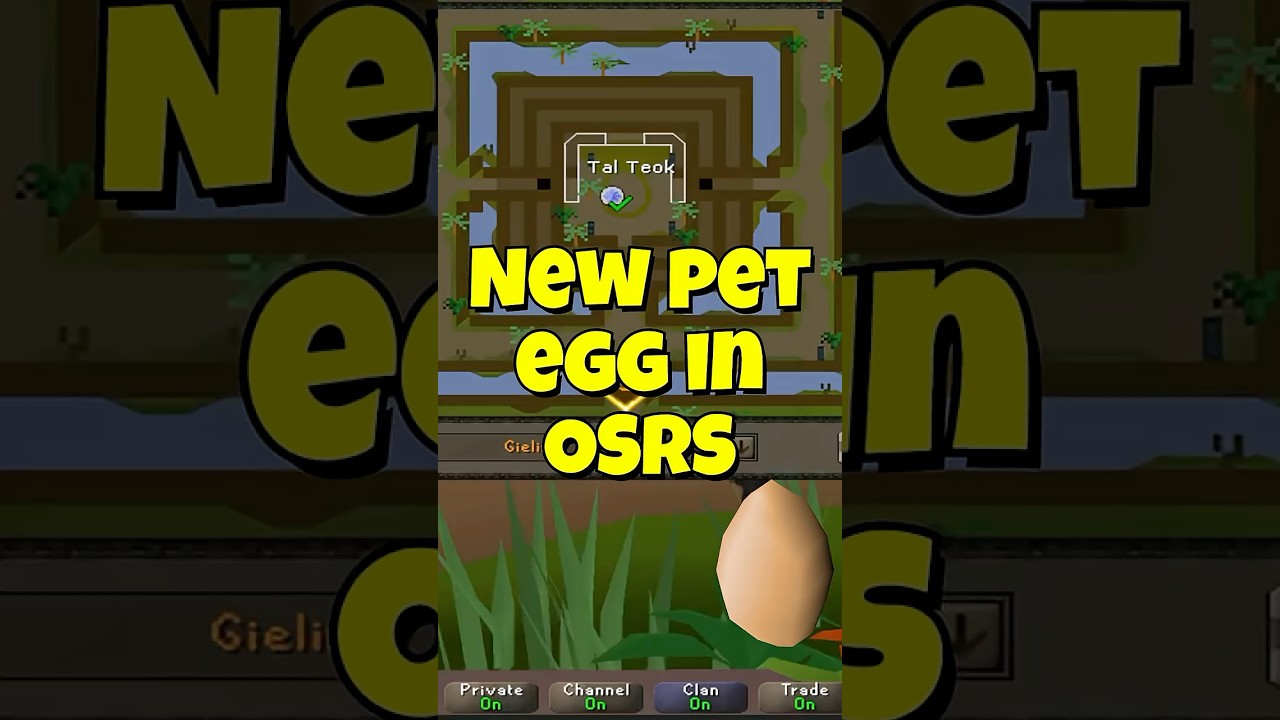New PET egg in OSRS! #runescape #memes #osrs #osrsshorts #osrspets #osrsguide