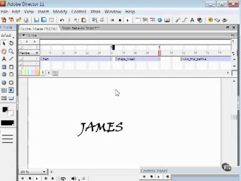 10 02 Using Flash SWF Files in Director