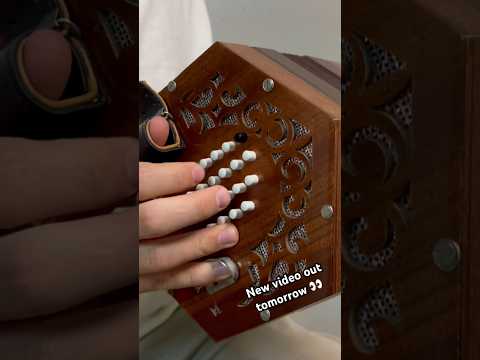 Have you ever seen an instrument like this before? 🤔 #music #concertina
