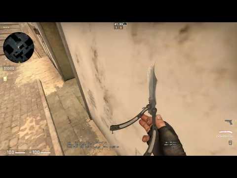 desafio movimentacao cachorro1337