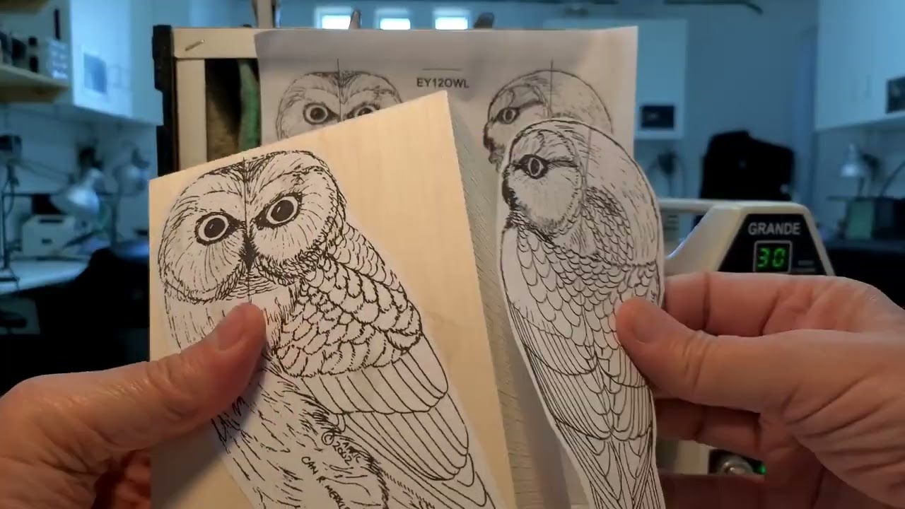 Making a 3D Template and Jig and Cutting an Owl Blank on the Bandsaw