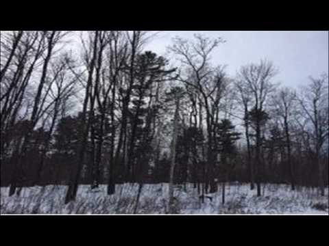 Oak View Dr, Town of Washington, Lot 15 Shawano WI 54166