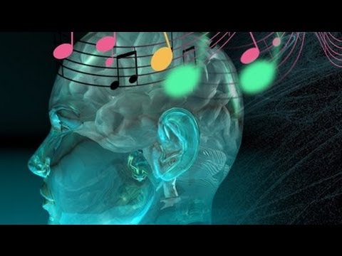 This is Your Brain on Music