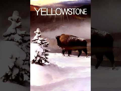 Yellowstone History