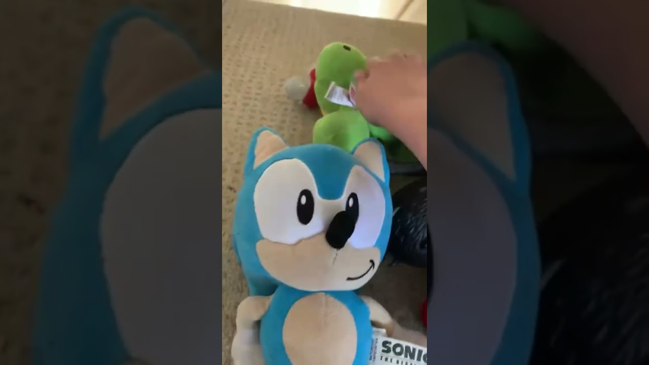 Sonics stupid adventures seasons 2 episode 1