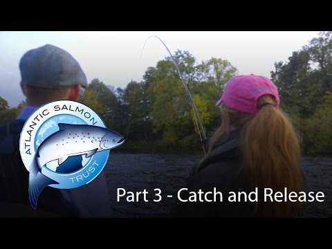 The Gift – Part 3: "Catch and Release" - Atlantic Salmon Trust, FishPal and Angling Trust