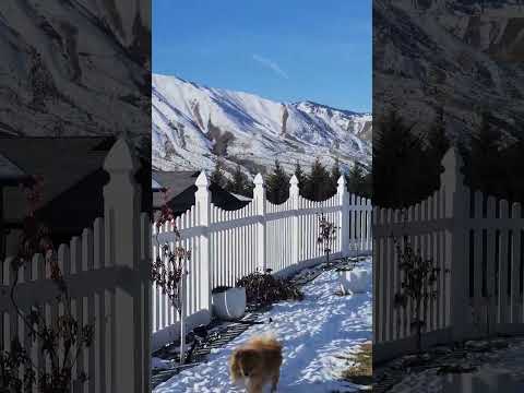 Mountain view in Wenatchee Washington. #pomeranian #snow #Mountain #backyard #view