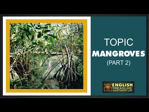 Mangroves (Part 2): English Treasure - Vocabulary, Listening, Pronunciation
