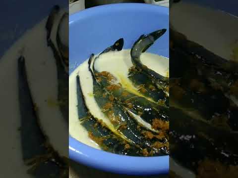 LELE GORENG KREMES(@MamaRizky_Via )