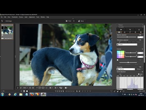 Digital Photo Professional 4 CR2 files part 4