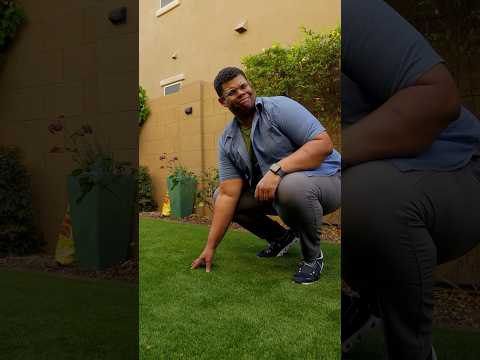 How to clean your turf properly #turf #clean #cleaning #turfgrass #problemsolved