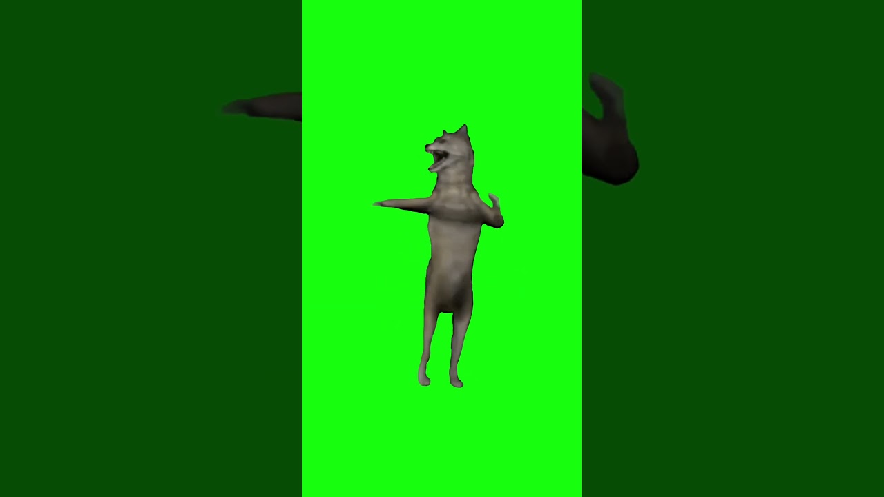 Dancing Wolf Meme | Green Screen #wolf #wolfdancing #viral #trending #meme #memes #fyp #dance