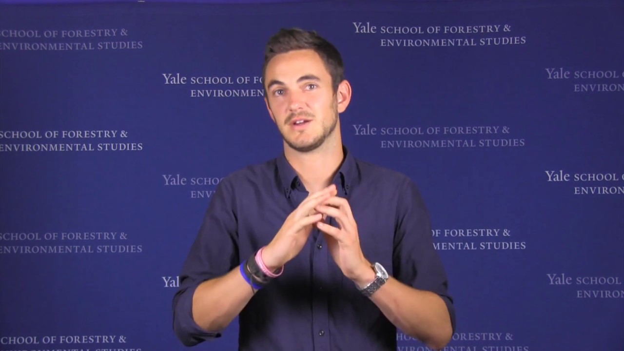 Mapping the World's Trees