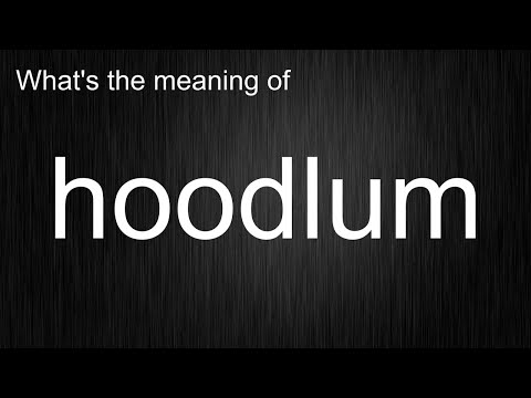 Enhance Your Vocabulary! Learn How to Use "hoodlum" in English