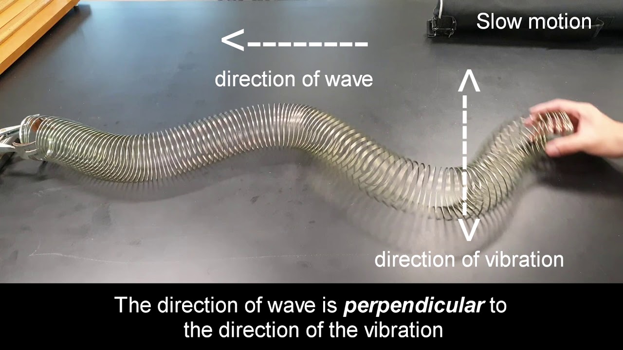 Transverse wave using slinky coil