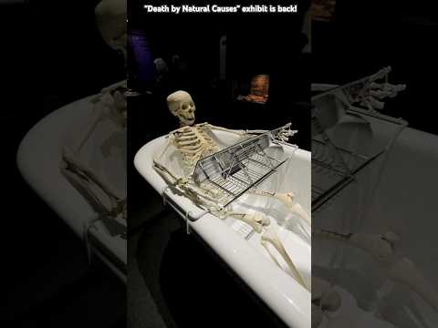 "Death by Natural Causes" now open at the Houston Museum of Natural Science!