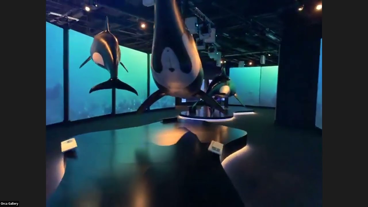 Digital Field Trip Teaser - Orcas Episode 1