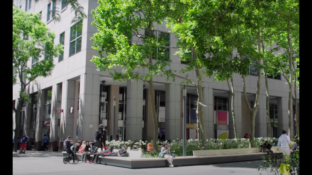 Campus Life in Brooklyn