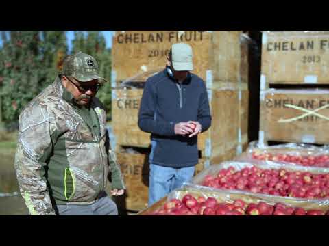 Pink Lady® Apples - Meet the Grower