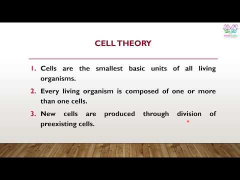 The Fundamental Unit of Life: CELLS and Cell Theory, Biomedglobal Explains #cell #celltheory