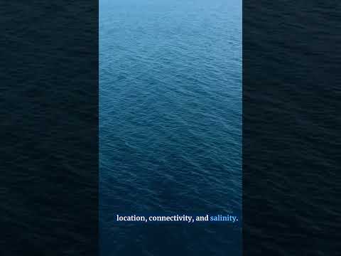 Do you know whats the difference between a sea and a ocean?