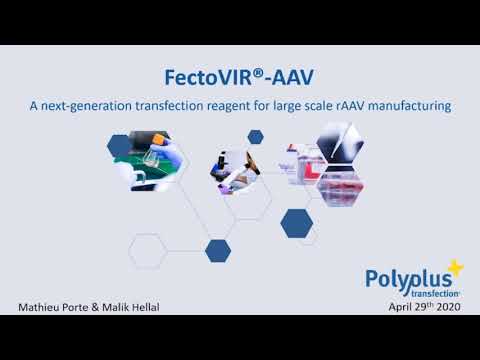 [Webinar] Advances in gene therapy : next-generation transfection reagent for AAV production