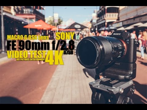 Sony 90mm f/2.8 Macro: Sample 4k footage (A7S II) (SEL90M28G)