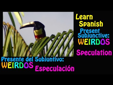 Learn Spanish- Present Subjunctive with Speculation (S in WEIRDOS)