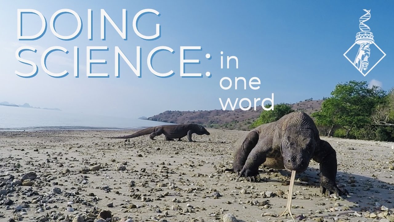 What’s your favorite thing about science-ing? | SciAll.org