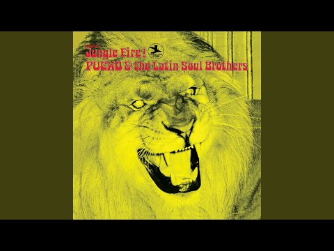 2024 Best 70s'Funky Drummer Sample Kit - Gearspace