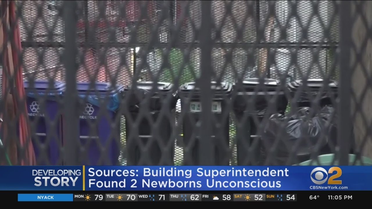 Sources: 2 Babies Found Dead Behind Bronx Building