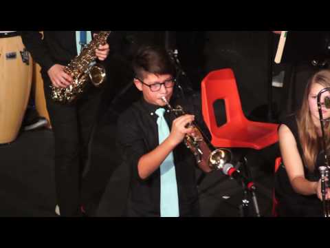GVA Jazz Band Pink Flamingo Night