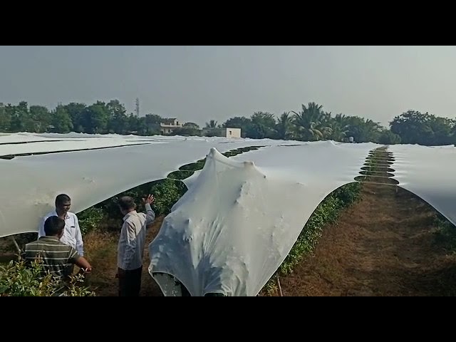 Crop Cover - Crop Protection Cover Manufacturer from Pune