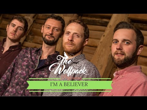 The Wolfpack - Folk and Rock Band From Shropshire